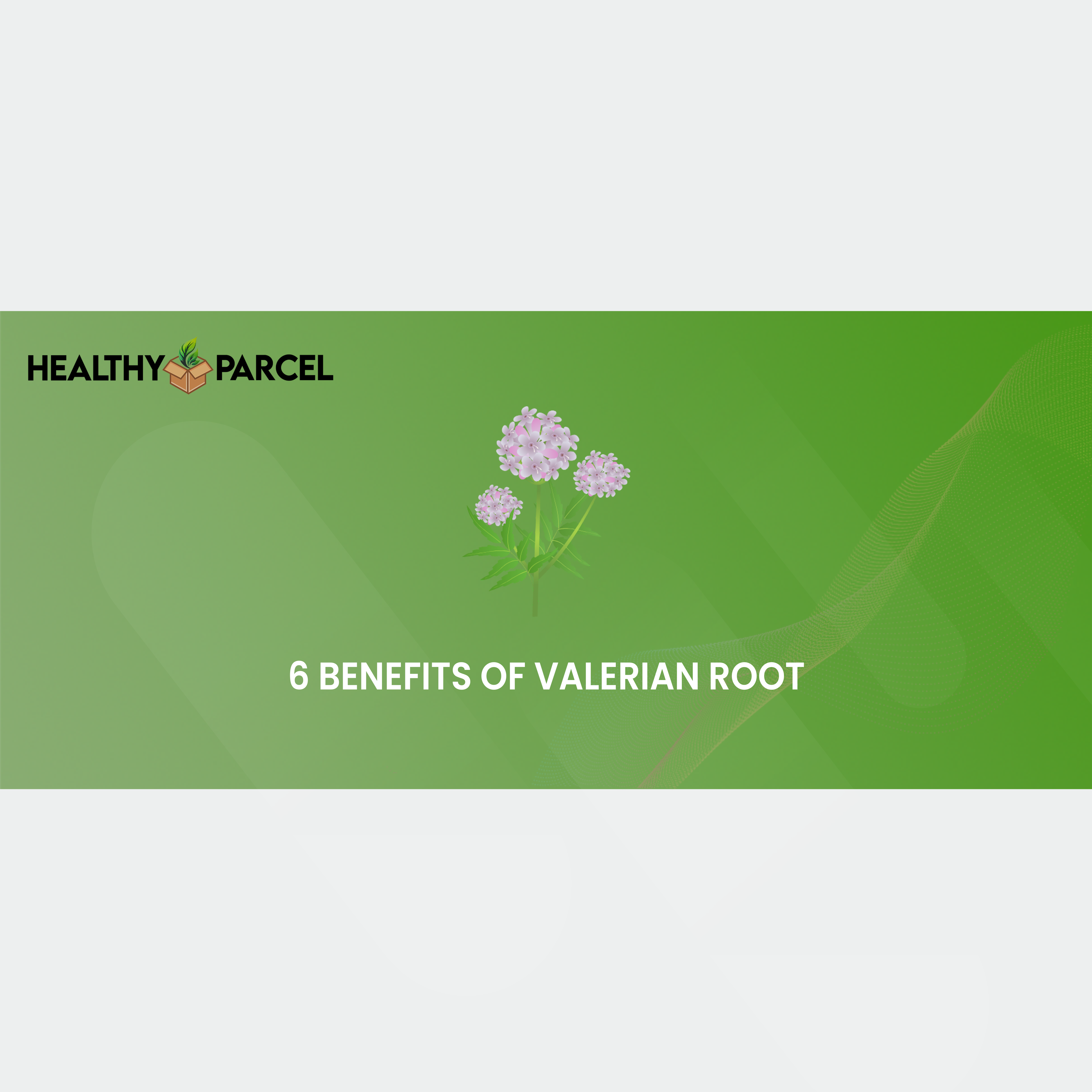 6 Benefits of Valerian Root