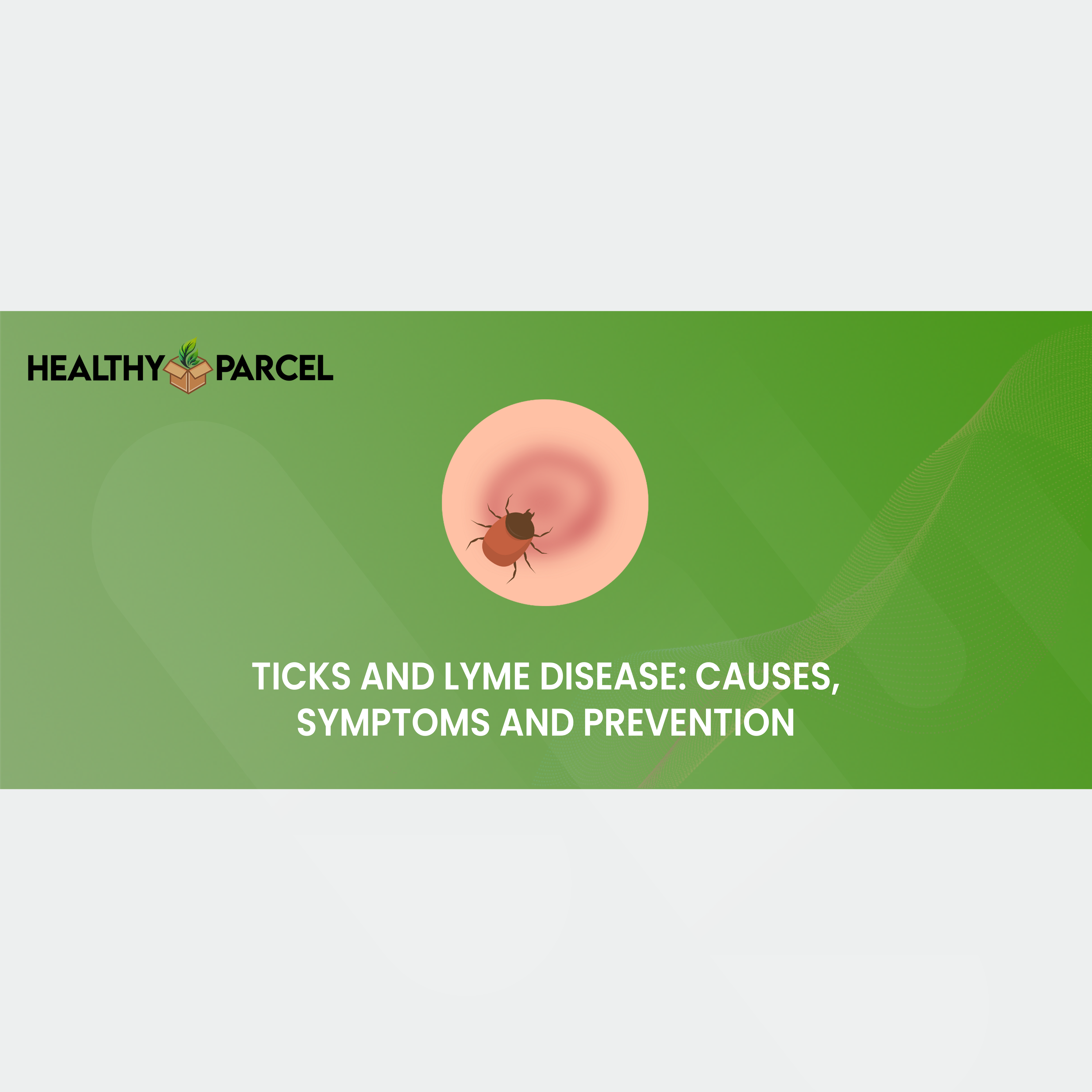 Ticks and Lyme Disease: Causes, Symptoms and Prevention