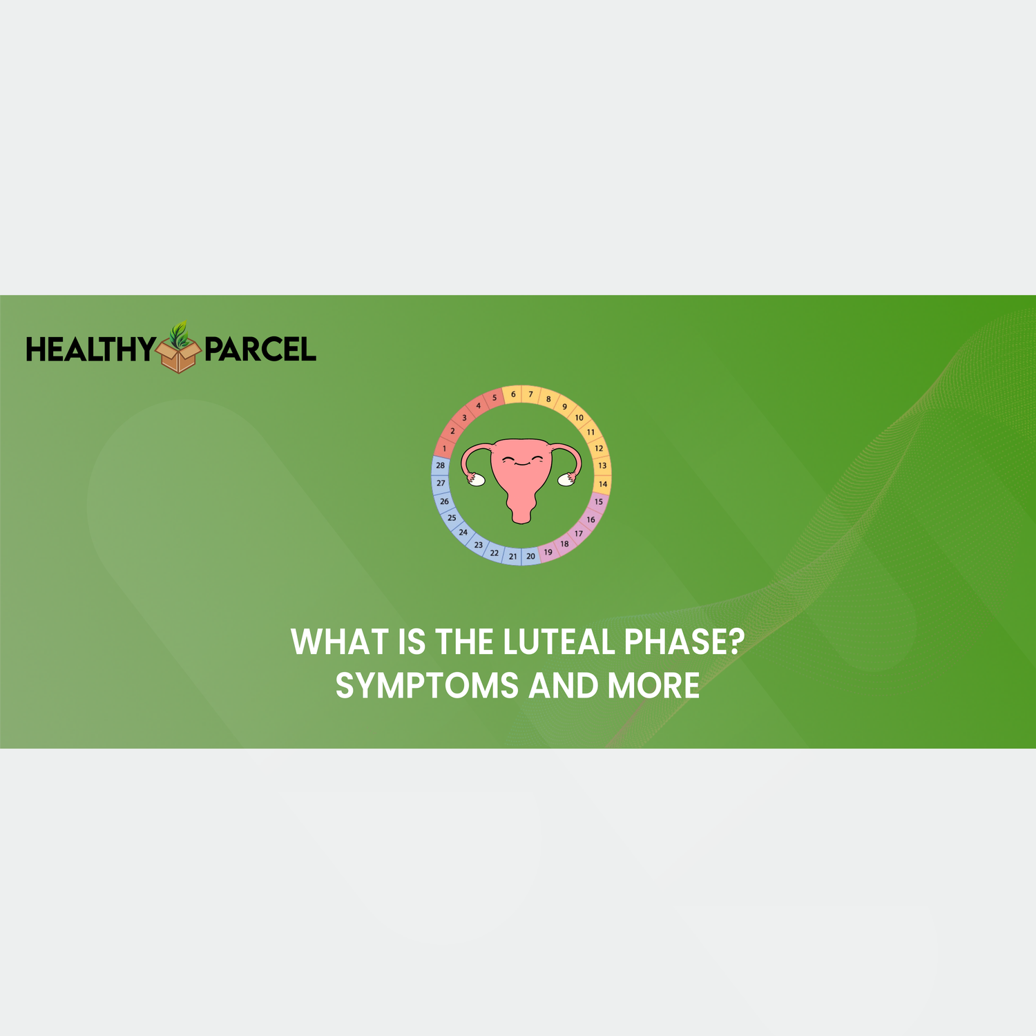 What Is the Luteal Phase? Symptoms and More