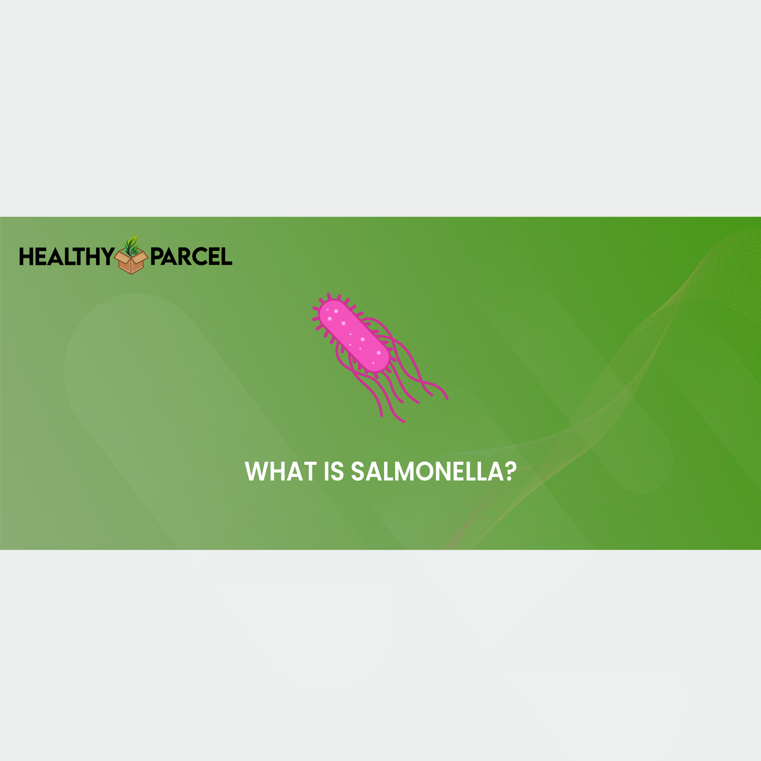 What is Salmonella?